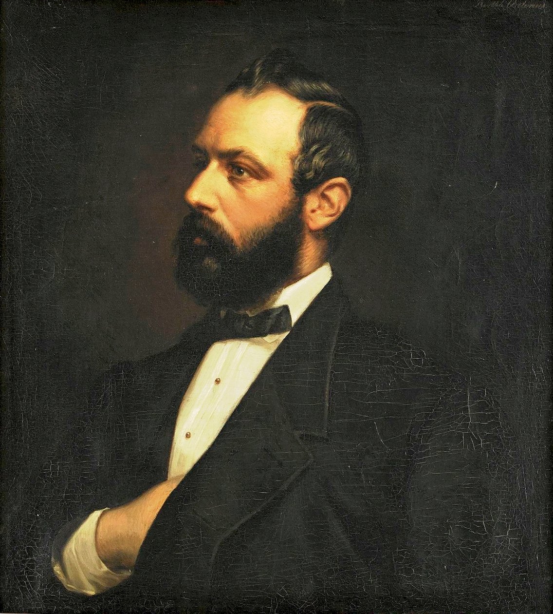 Porträt von Karl XV von Bertha Valerius: Kunstdruck